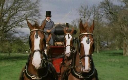 A Grim Reality: The Life of a Coach Horse in the Regency Era | Jane ...