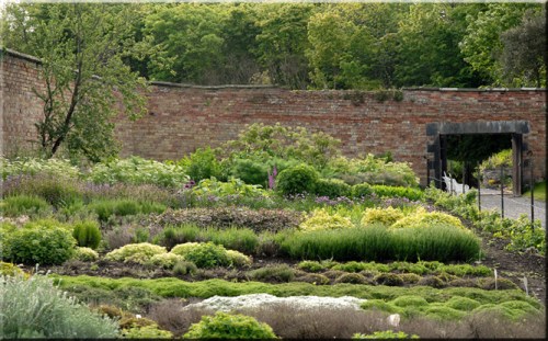 The Flowers in Jane Austen’s Garden | Jane Austen's World