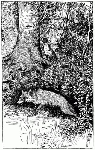 The Fox Hunt: From Downton Abbey Back to Its Origins | Jane Austen's World