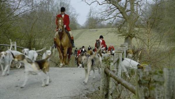 The Fox Hunt: From Downton Abbey Back to Its Origins | Jane Austen's World