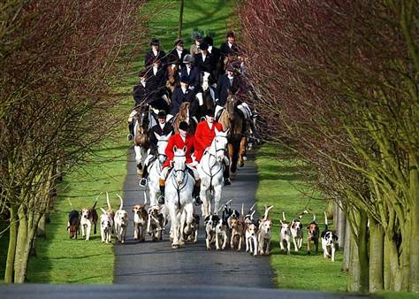 The Fox Hunt: From Downton Abbey Back to Its Origins | Jane Austen's World