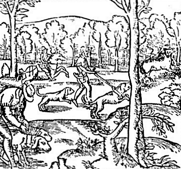 The Fox Hunt: From Downton Abbey Back to Its Origins | Jane Austen's World