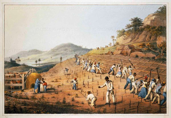 Cesar Picton, Wealthy Merchant and Freed Man: The Regency Era | Jane ...