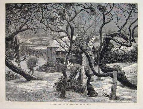 Gathering Mistletoe | Jane Austen's World