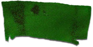 The Green Baize Door: Dividing Line Between Servant and Master | Jane ...