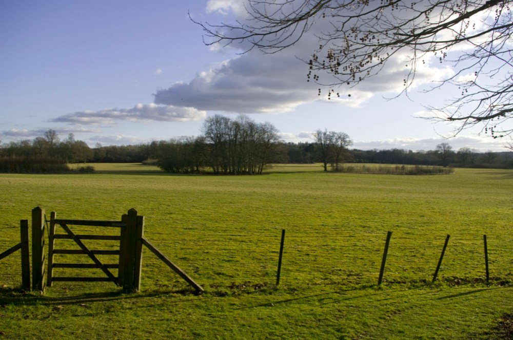Chawton House, A Virtual Visit | Jane Austen's World