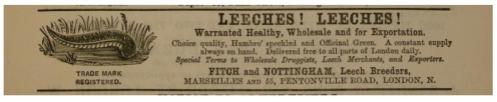 Blood Letting and Collecting Leeches in the Regency Era | Jane Austen's ...