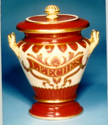 Blood Letting and Collecting Leeches in the Regency Era | Jane Austen's ...