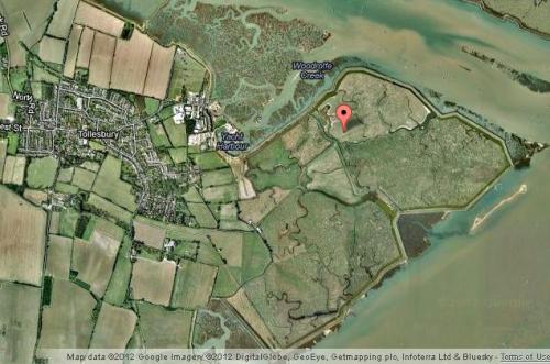 Ray Winstone | Jane Austen's World