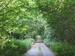 Steventon Rectory Garden: Imagining the Landscape of Jane Austen’s ...
