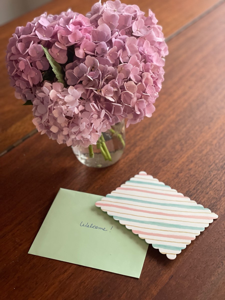 Calling all Janeites! | Jane Austen's World