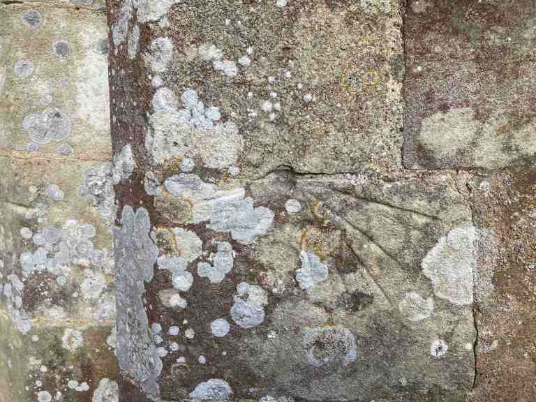 Jane Austen’s Family Churches: St. Nicholas’, Steventon | Jane Austen's ...