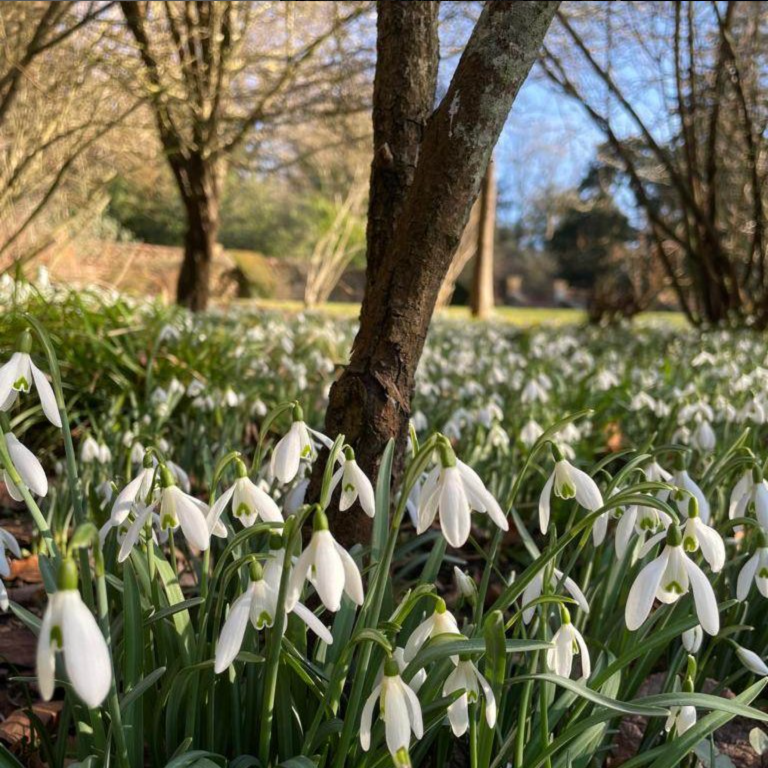 February in Jane Austen’s World | Jane Austen's World