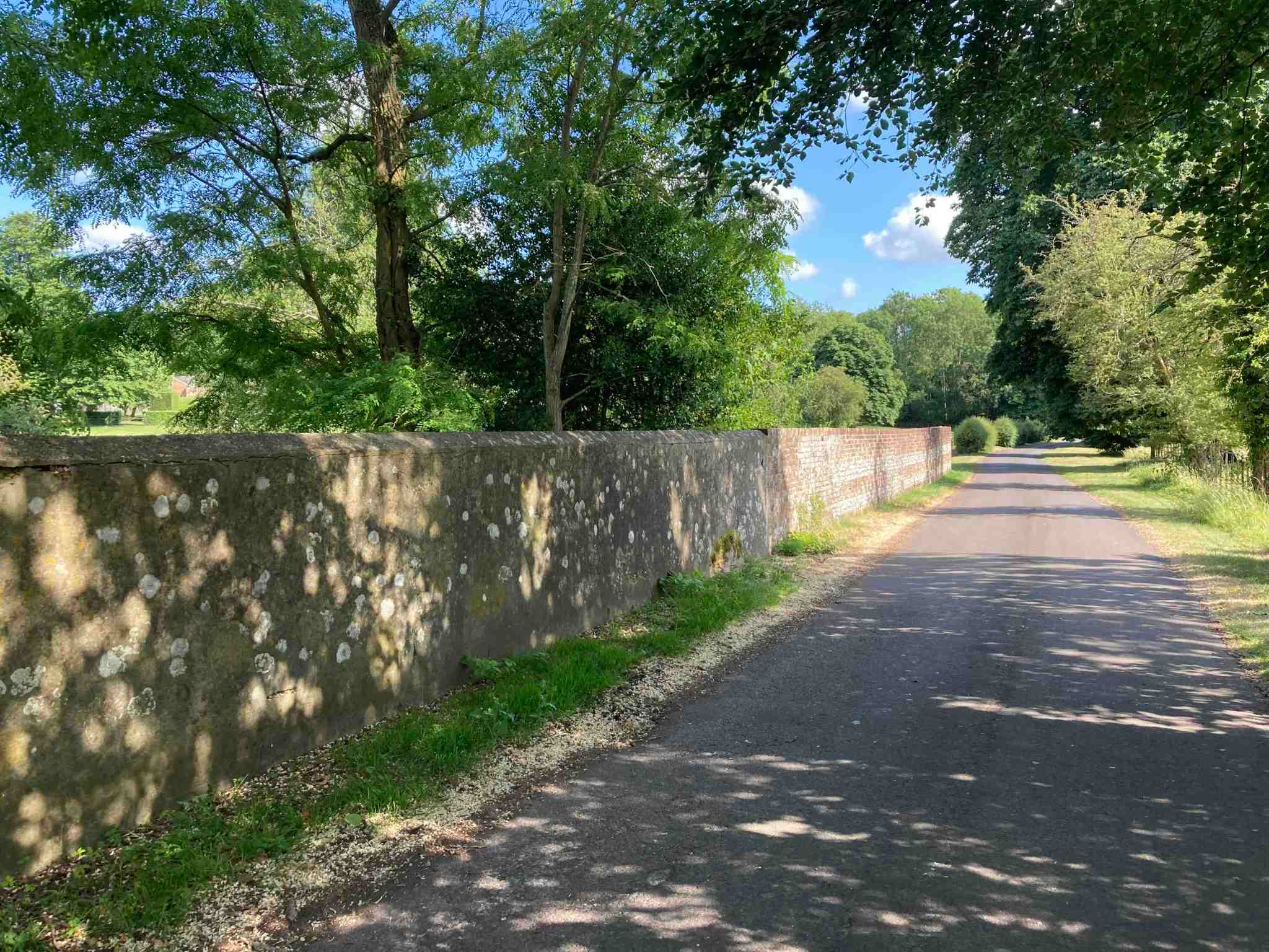 Martha and Mary Lloyd | Jane Austen's World